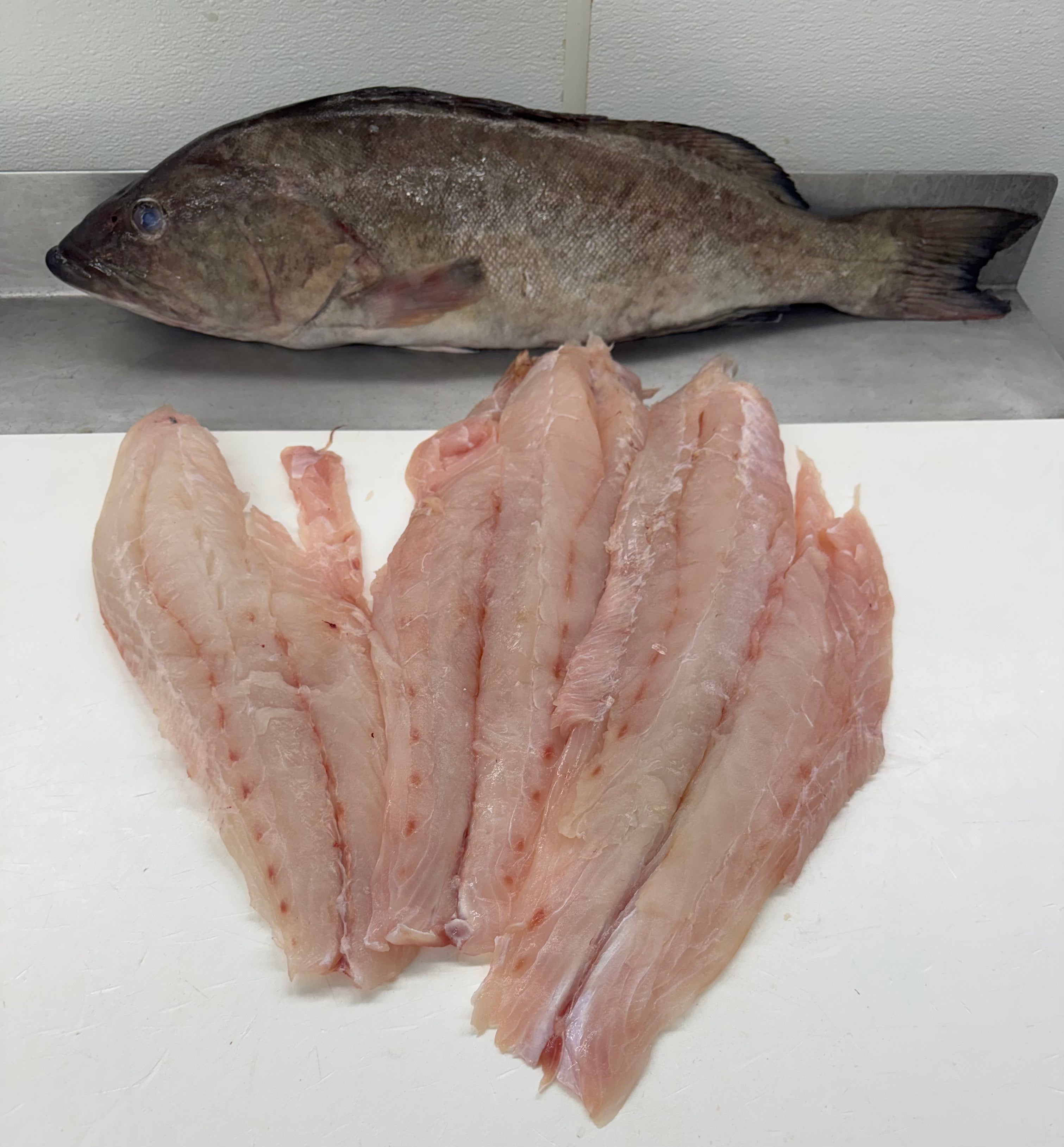 Gag Grouper Filet – Fishbusterz Seafood Madeira