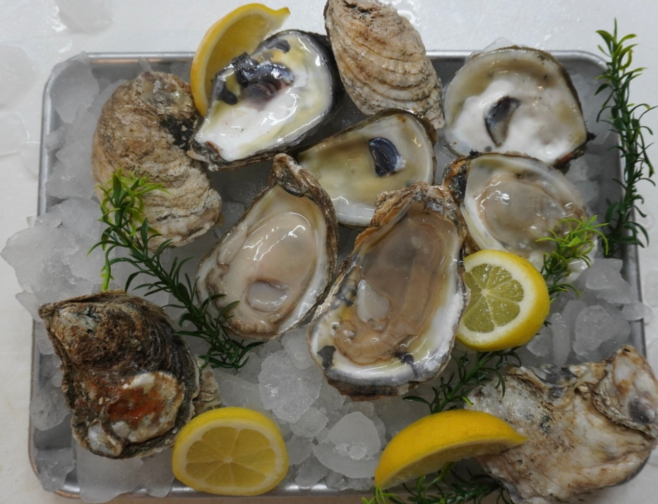 Fresh Oysters – Fishbusterz Seafood Madeira